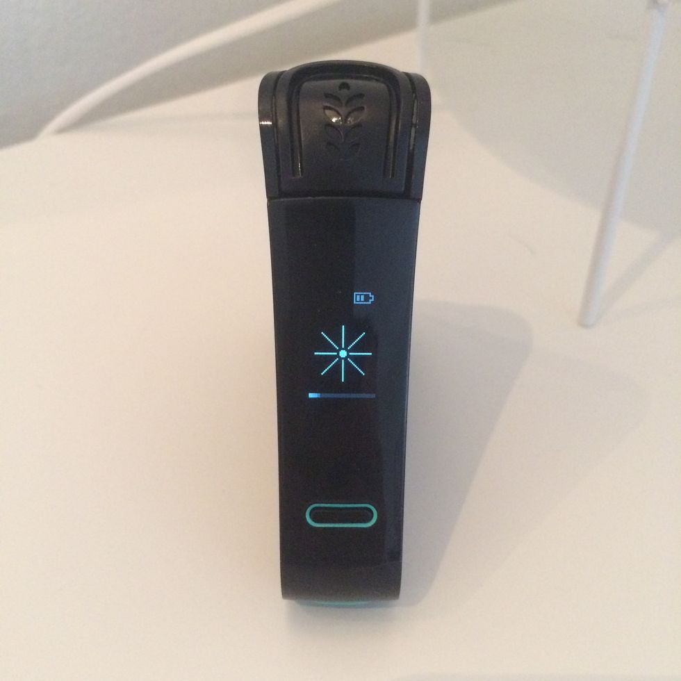 Nima gluten celiac sensor review: Expensive but worth it - Gearbrain