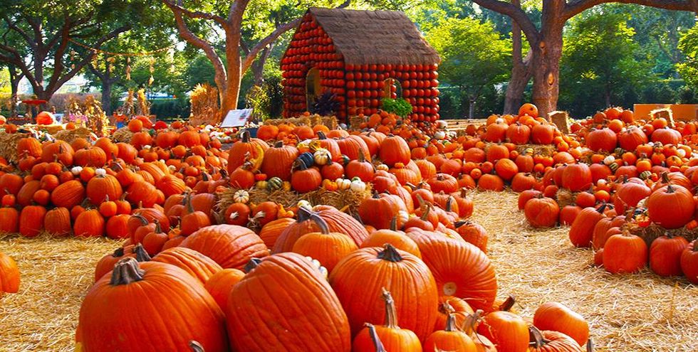 11 Of The Greatest Spooky Season Activities