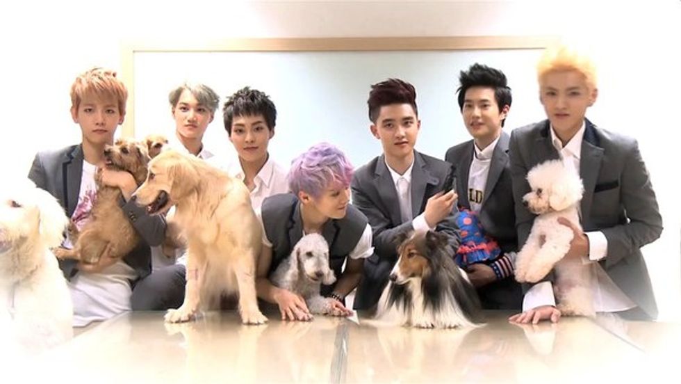 50 Facts For 5 Years With EXO