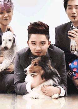 50 Facts For 5 Years With EXO