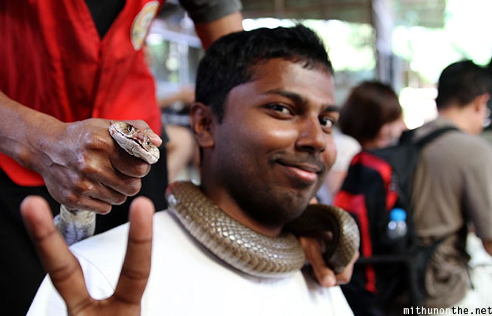 34 Chokers That Are Actually Deadly Snakes But Super Cute