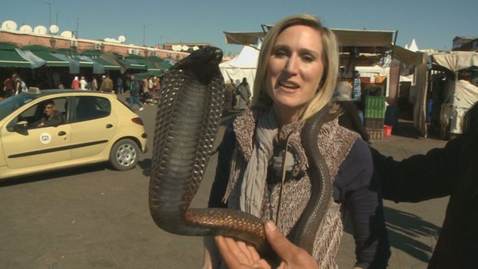 34 Chokers That Are Actually Deadly Snakes But Super Cute