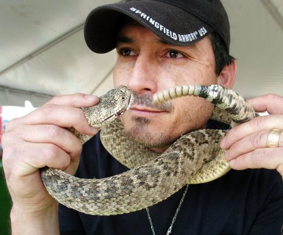 34 Chokers That Are Actually Deadly Snakes But Super Cute