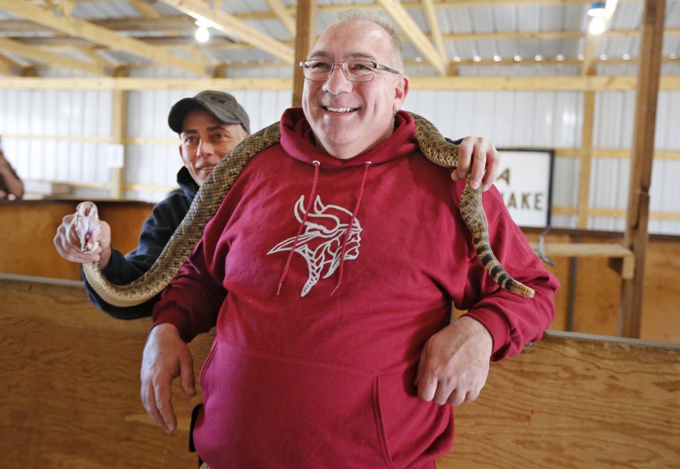 34 Chokers That Are Actually Deadly Snakes But Super Cute