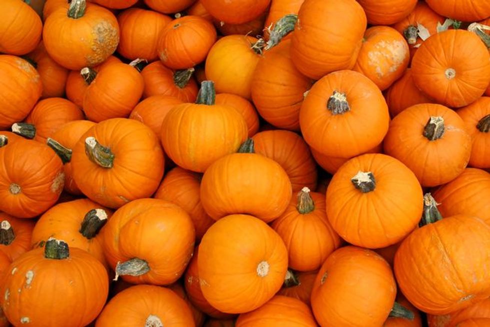 Top 10 Fall Traditions, Ranked