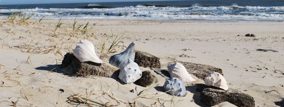 13 Reasons To Visit Chincoteague Island, The 'Happiest Seaside Town In ...