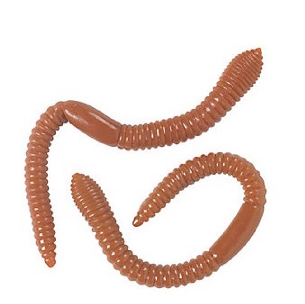 Awesome Halloween Candy You Probably Didn't Know Existed