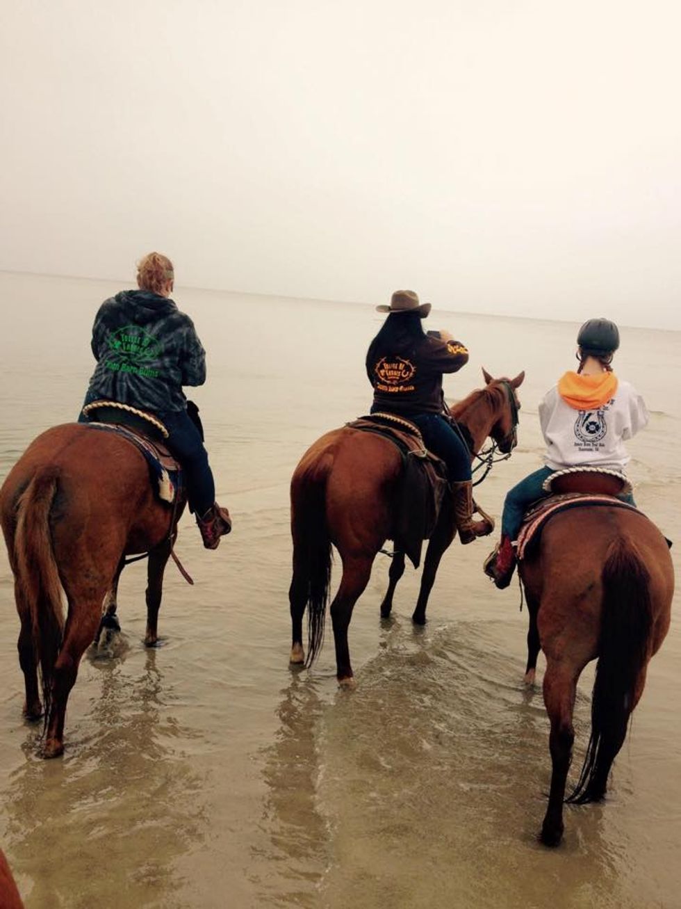 8 Disciplines Of Horse Riding You Need To Know If You Want To Ride