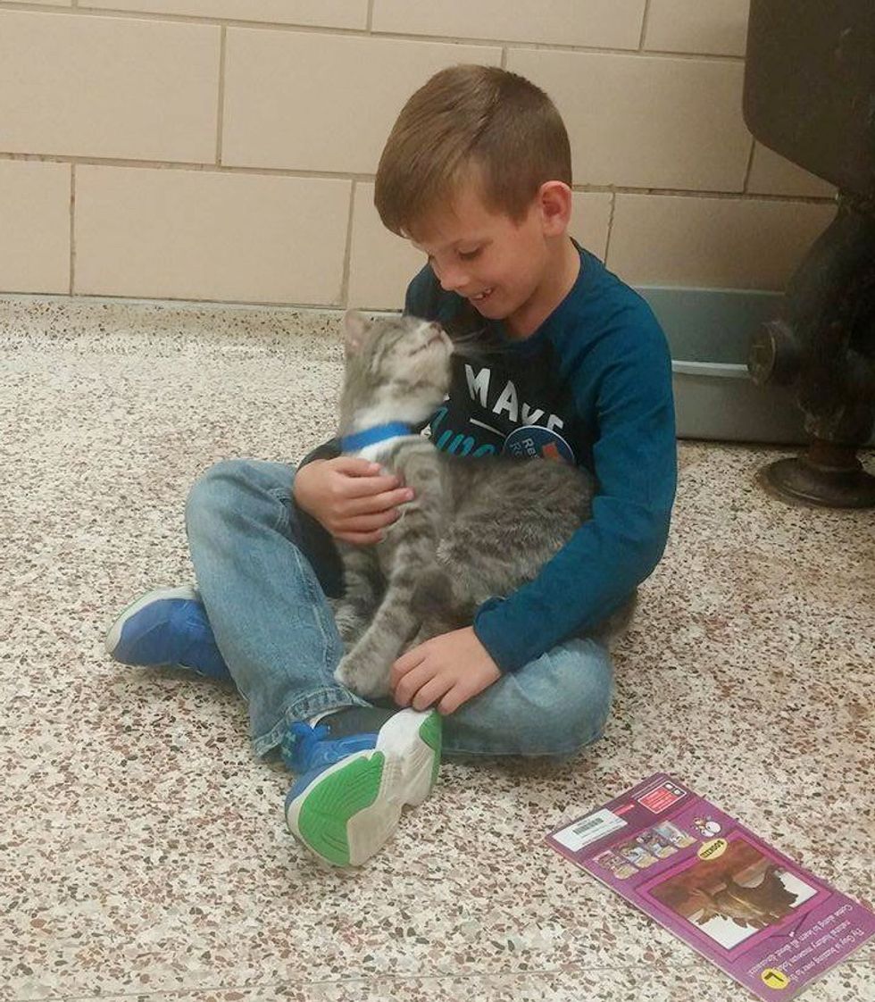 Young Boy Reads to Shelter Cats and Gets a Captive Audience in This ...