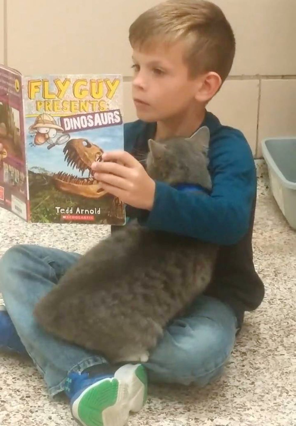 Young Boy Reads to Shelter Cats and Gets a Captive Audience in This ...