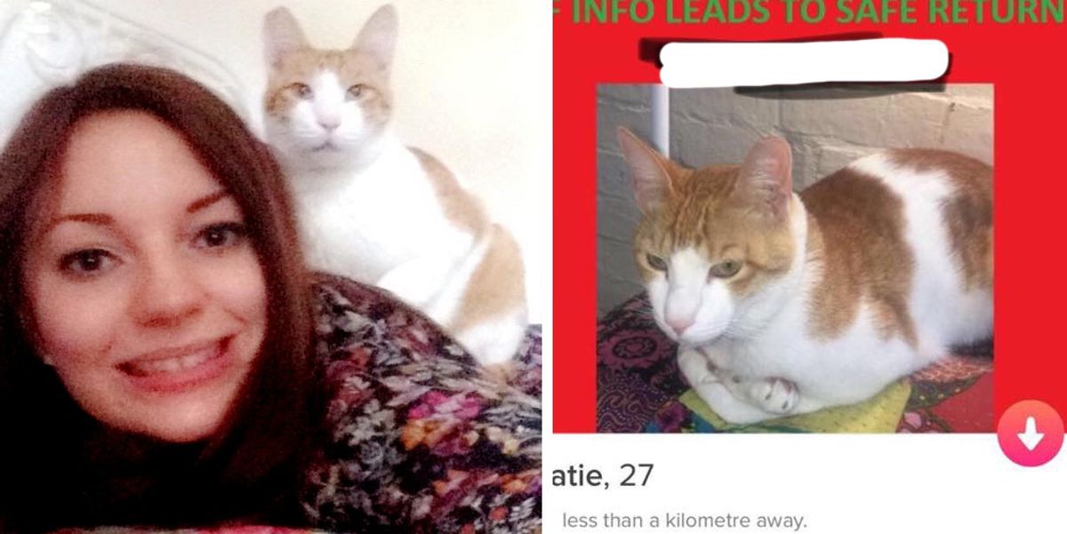 Woman Uses Dating App Tinder to Track Down Her Missing Cat... - Love Meow