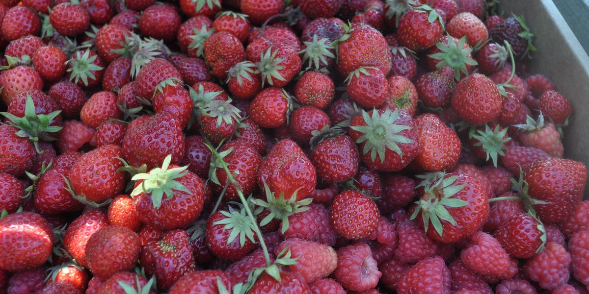 Pear Strawberry Jam - My Recipe Magic