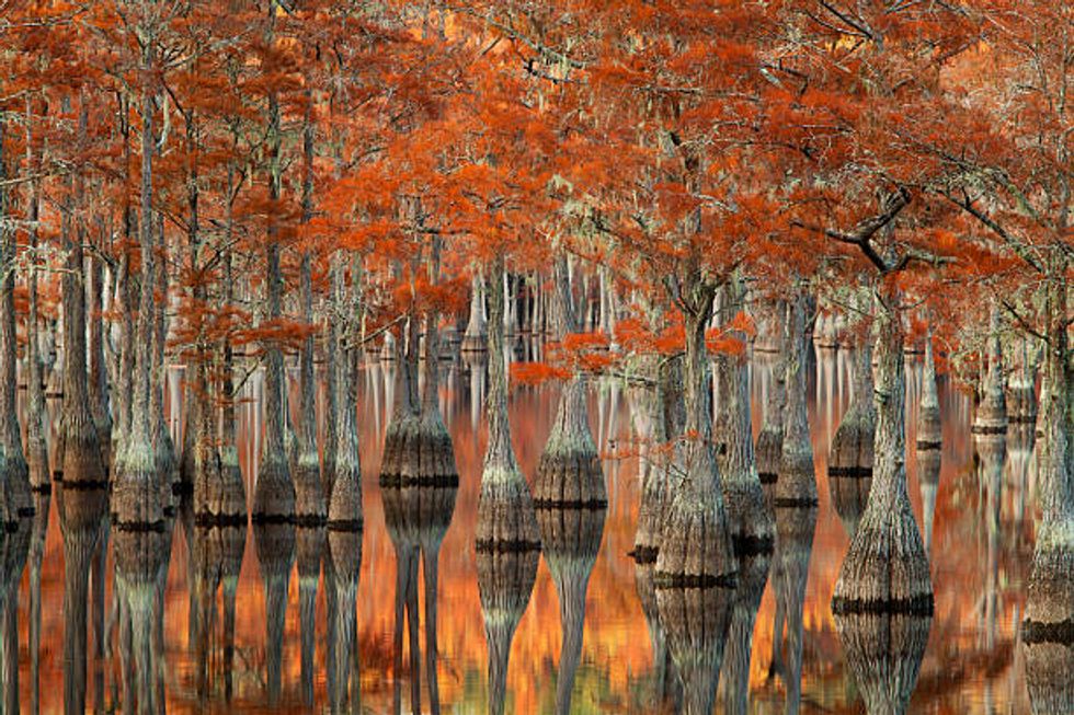 10 Must-Go Places To See Fall Colors In North Georgia