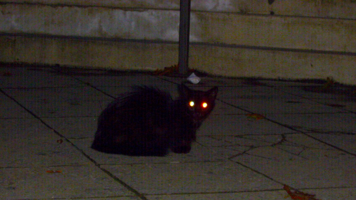 13 Reasons Why The Number 13 Is Considered Unlucky