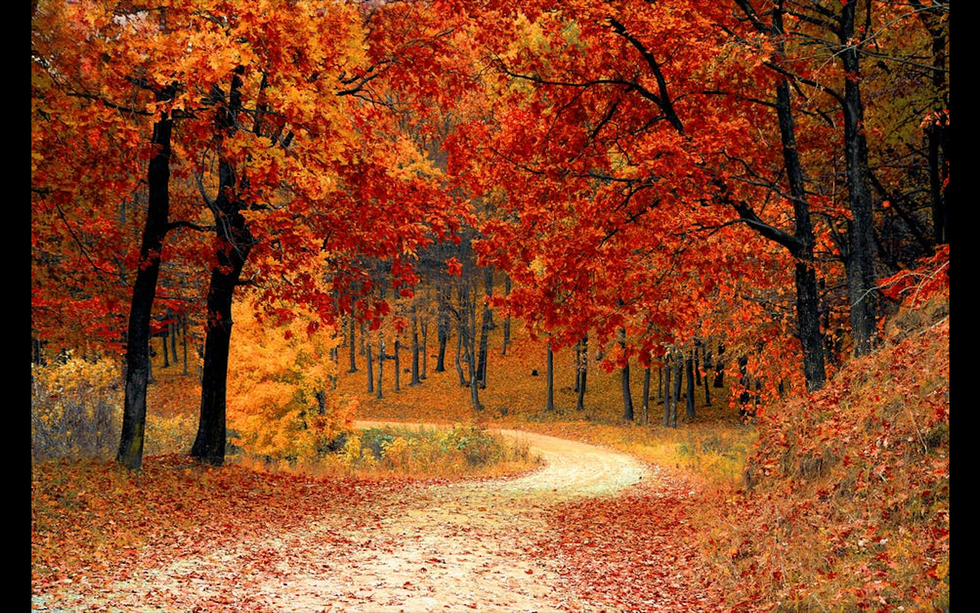 10 Festive Things To Do During the Fall In Rhode Island