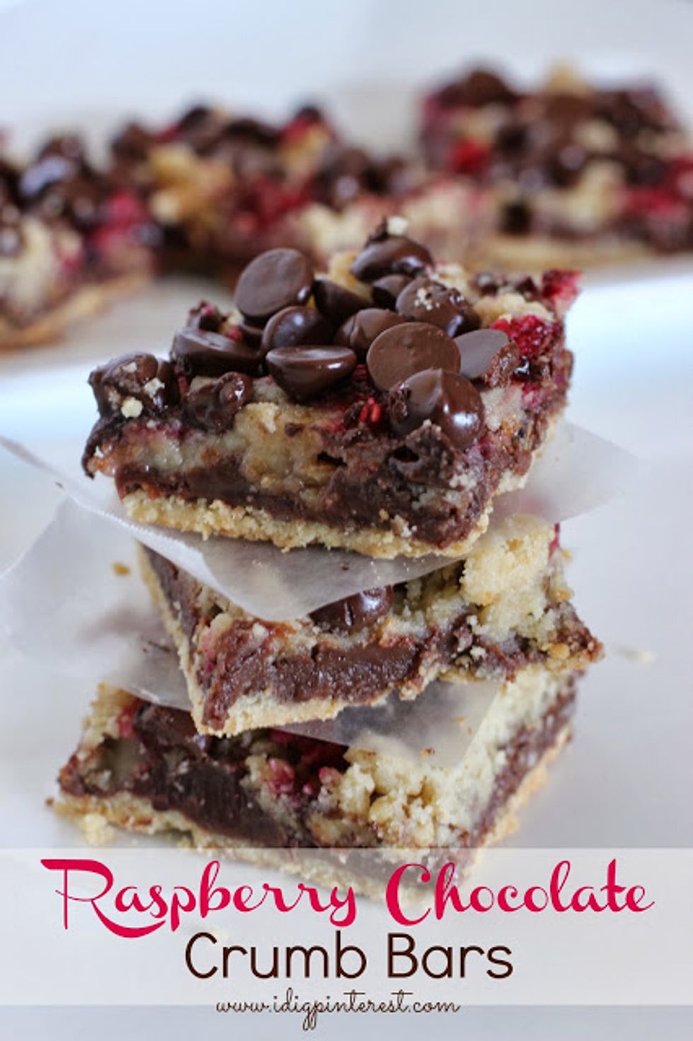 Raspberry Chocolate Crumb Bars - My Recipe Magic
