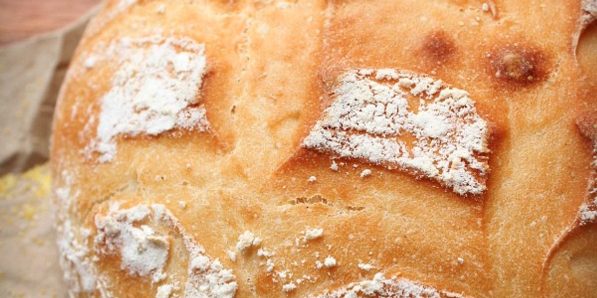 How to Make Perfect Artisan Bread {Step by Step Pictures and ...