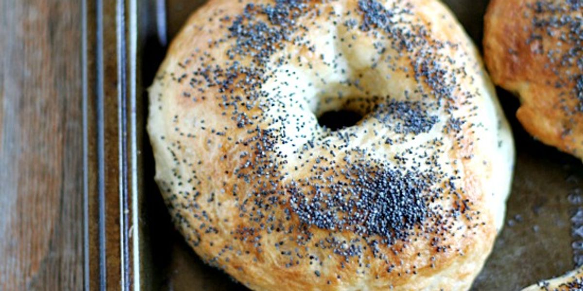 Lemon Poppy Seed Bagels - My Recipe Magic