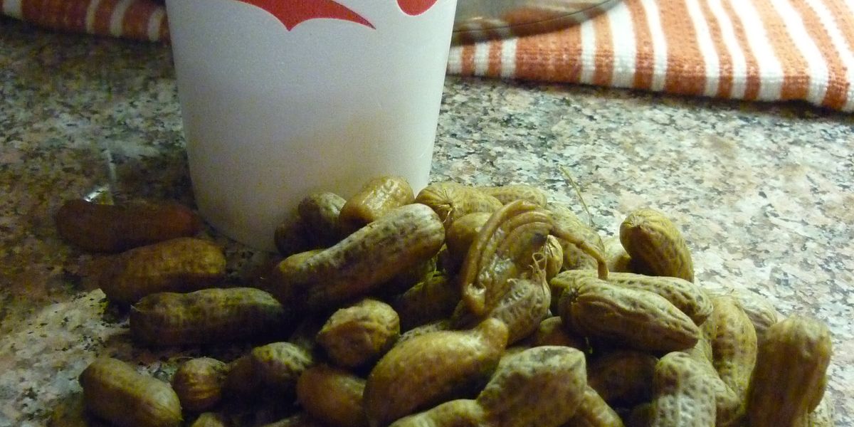 Boiled Peanuts Southern Style - My Recipe Magic