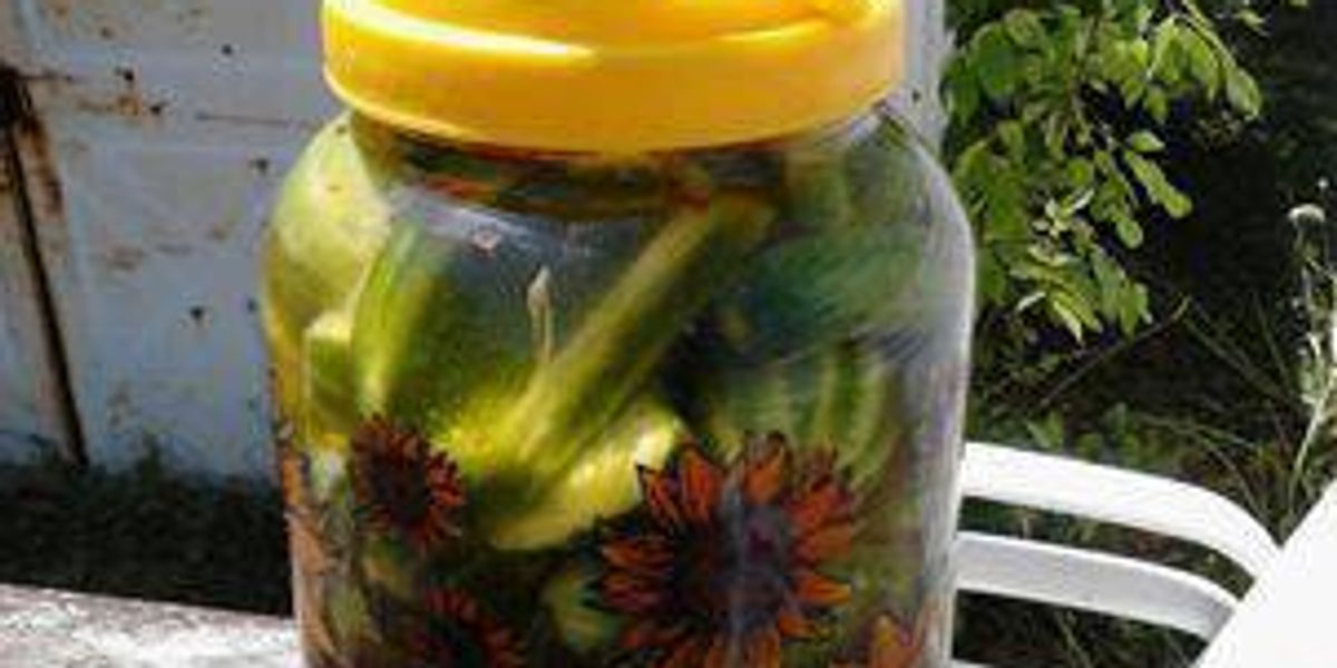 Sun Pickles - My Recipe Magic