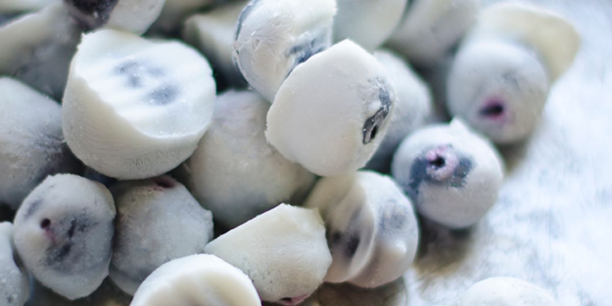 Frozen Blueberry Bites - My Recipe Magic