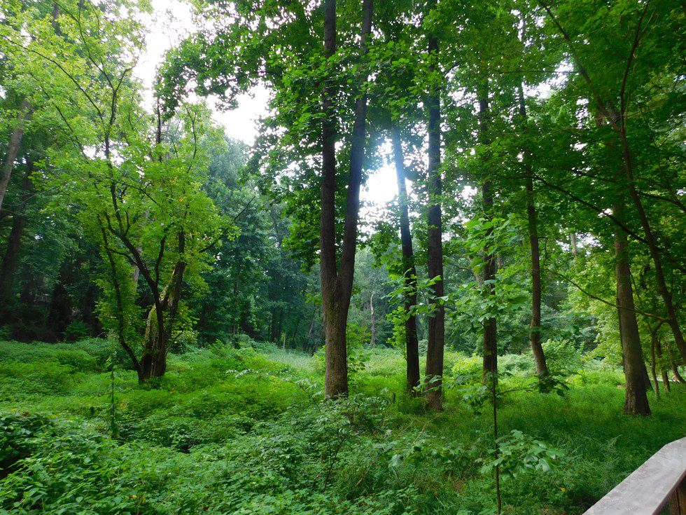 4 Places You Need To Visit On Your Next Trip To Atlanta