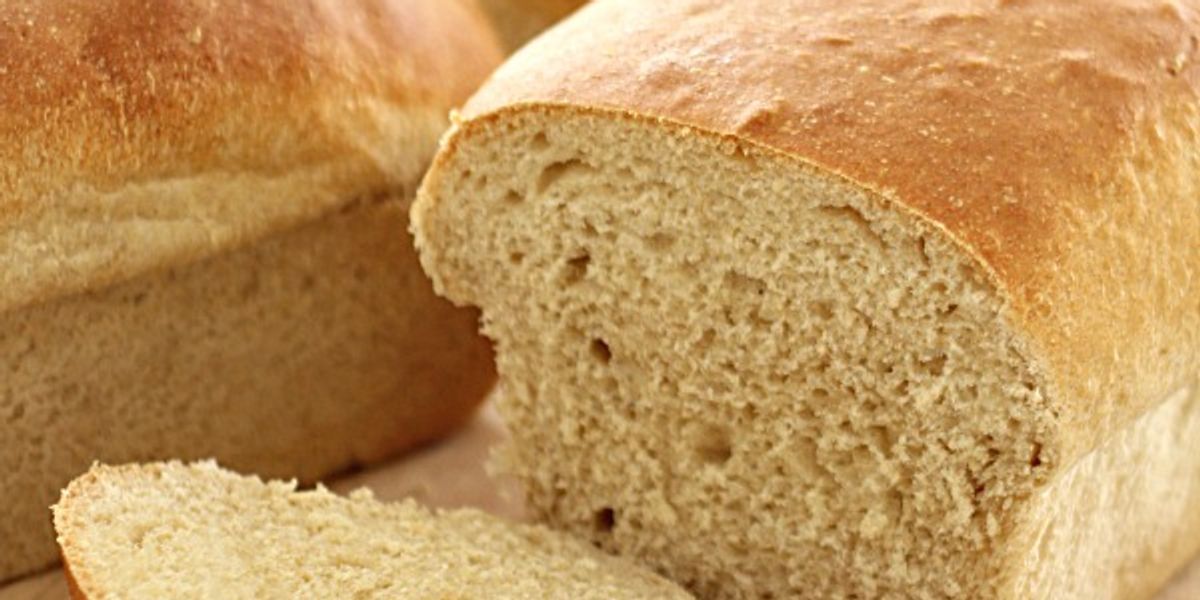 Great Harvest Honey Whole Wheat Bread Copycat My Recipe Magic