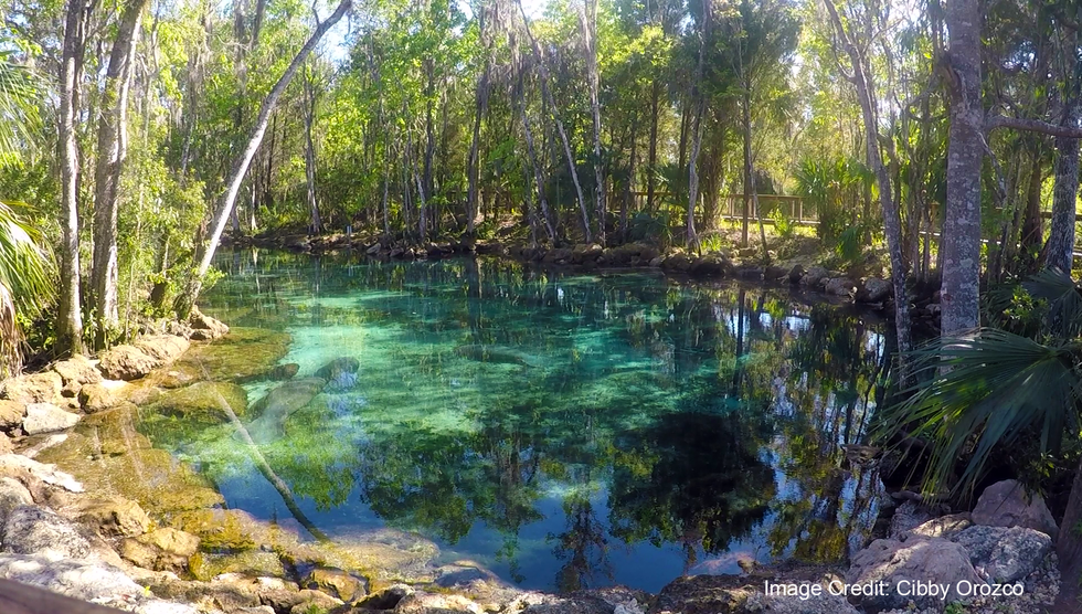 5 Reasons To Visit Three Sisters Springs This Year