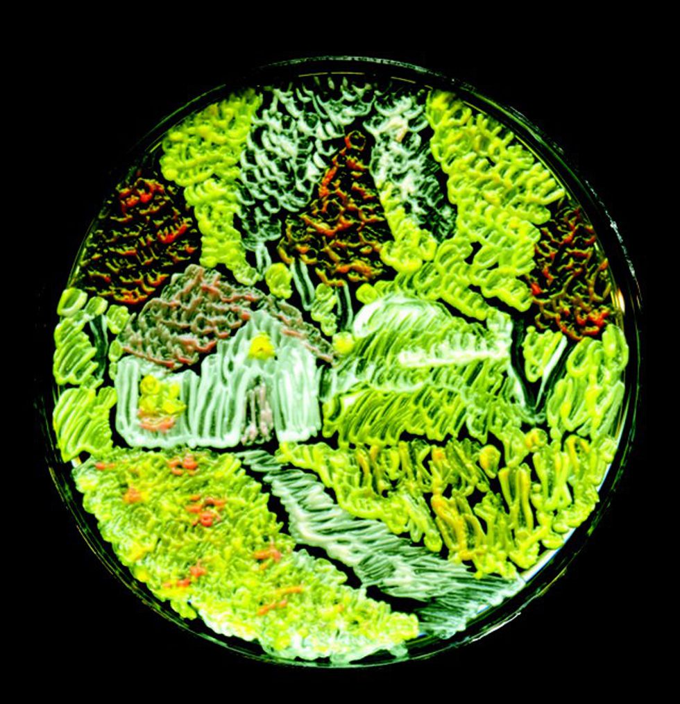 The Deep Relationship Between Science And Art