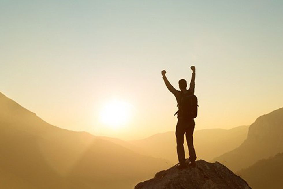 An Ideal to Strive Towards