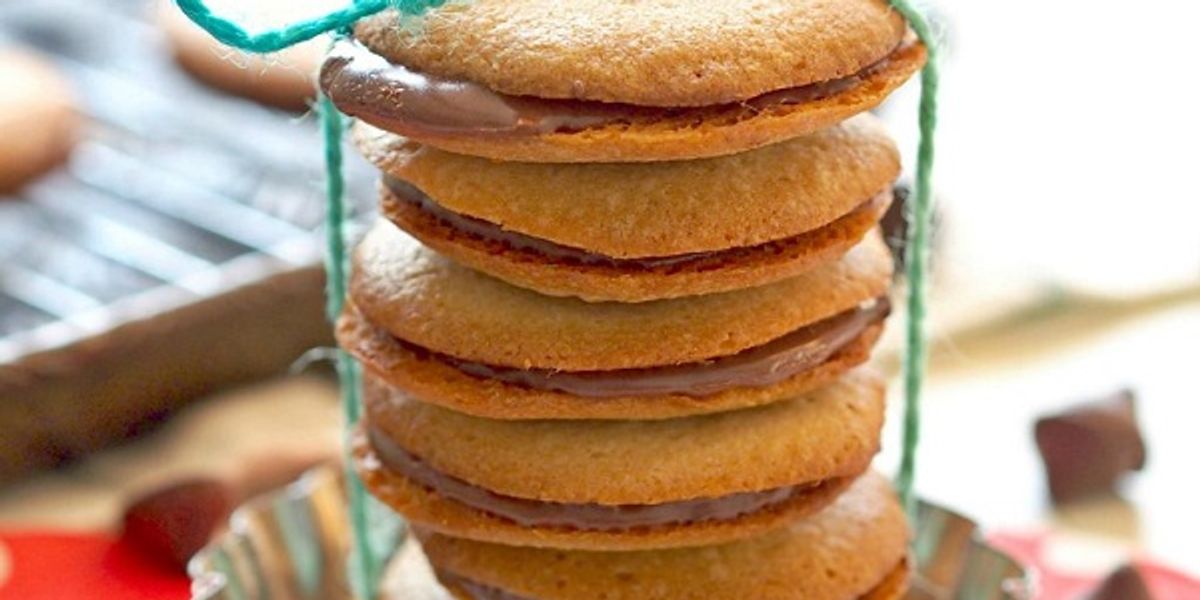 Mint Chocolate Brussels Cookies - My Recipe Magic