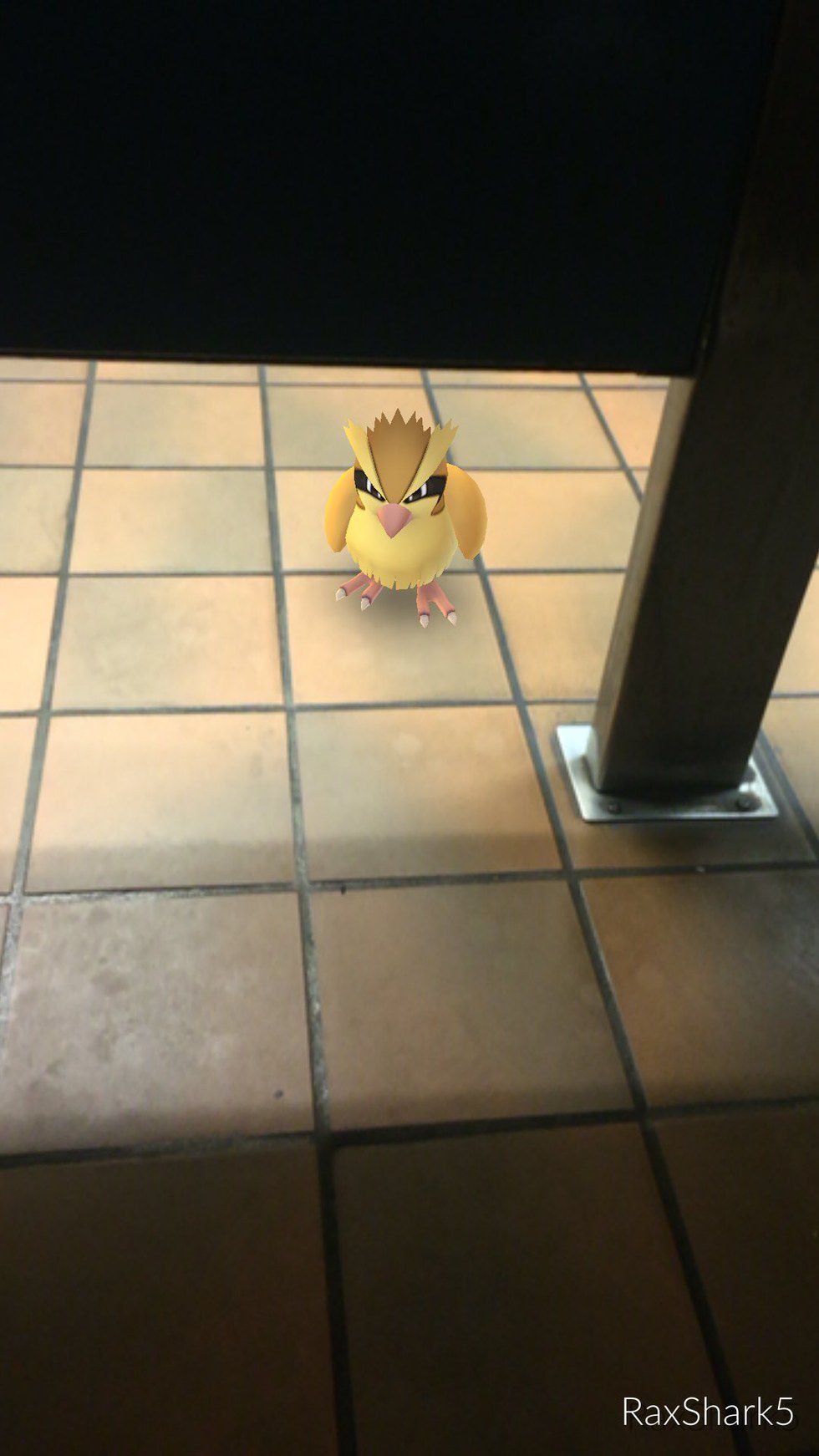 15 Of The Most Ridiculous Places Pokémon Have Appeared In 'Pokémon Go'