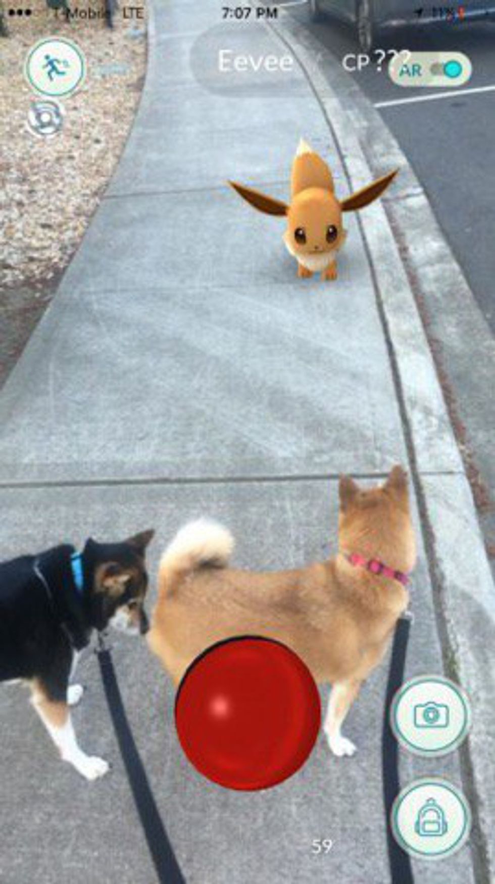 15 Of The Most Ridiculous Places Pokémon Have Appeared In 'Pokémon Go'