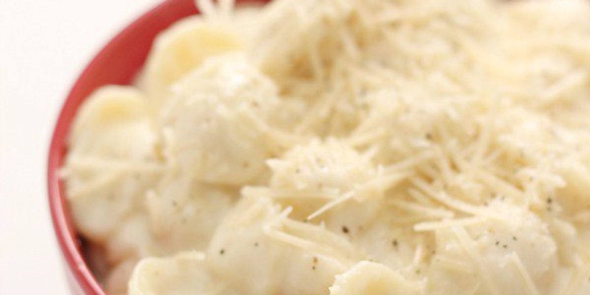 White Cheddar Shells and Cheese - My Recipe Magic