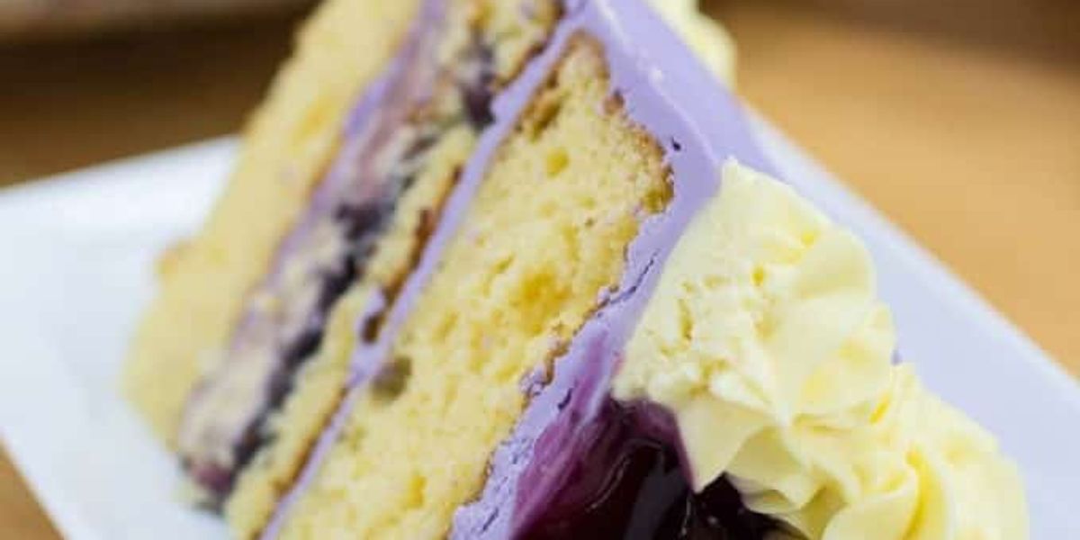 BLUEBERRY PUDDING LEMON CAKE - My Recipe Magic