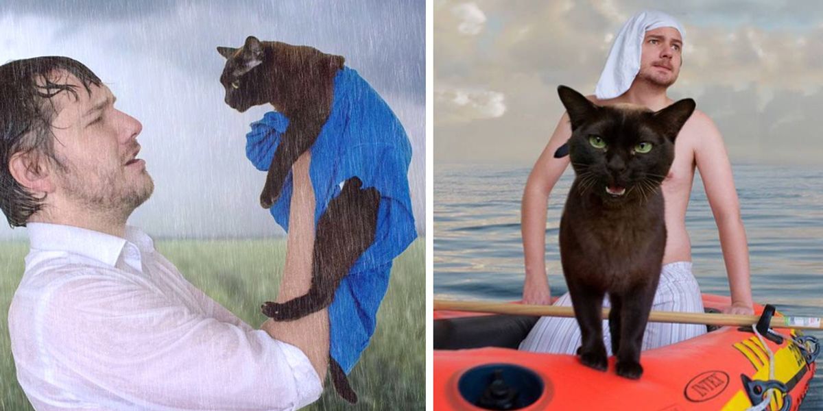 Cats and Their Human Dad Remake These 10 Memorable Movie Scenes ...
