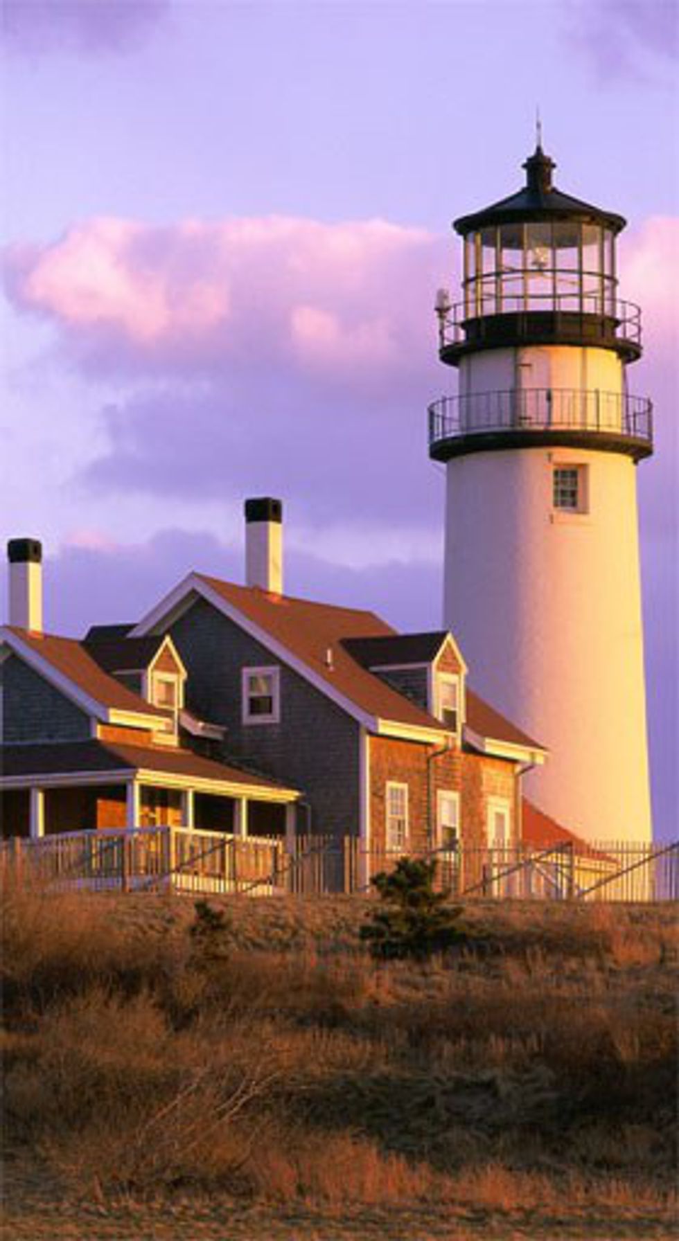 11 Reasons To Love The Cape