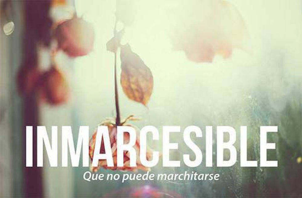 The Most Beautiful Words In Spanish The Most Beautiful Words In Spanish