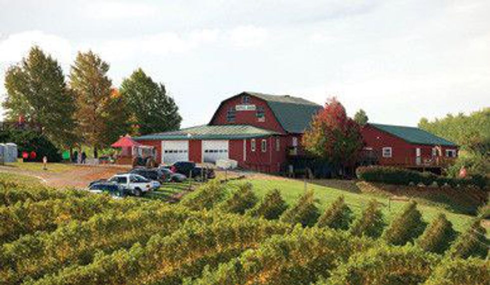 12 Things An Introvert Likes About Life In Northern Virginia