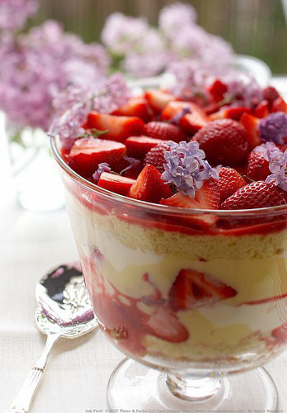 12 Activities To Do Over Spring Break