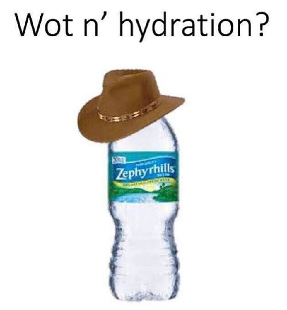 8 Of The Best "What In Tarnation" Memes