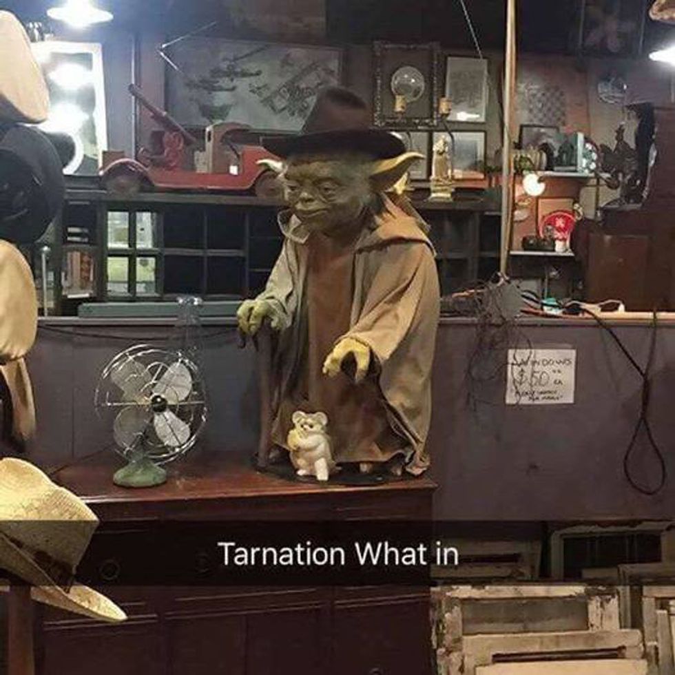 8 Of The Best "What In Tarnation" Memes