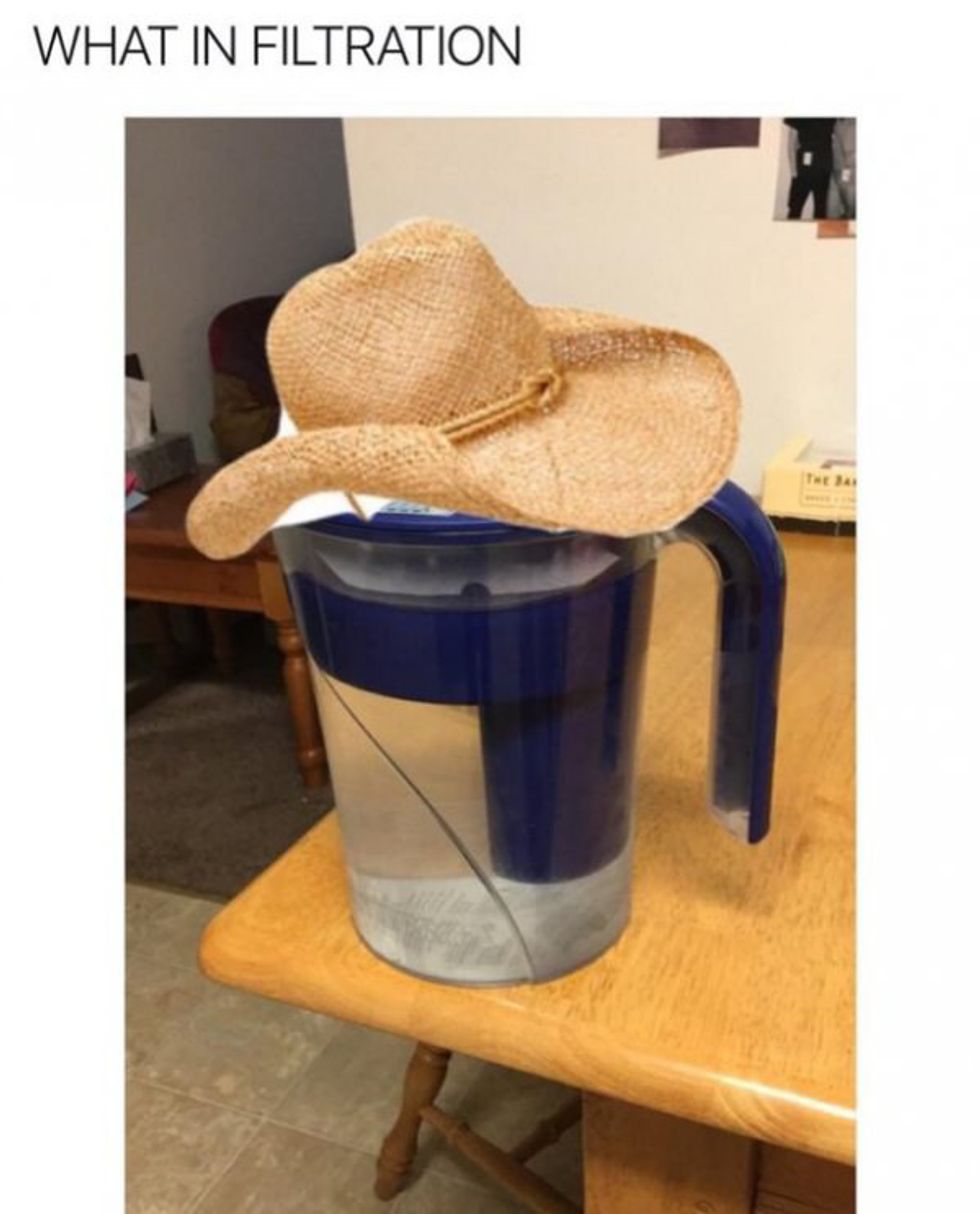 18 Of The Best "What In Tarnation" Memes