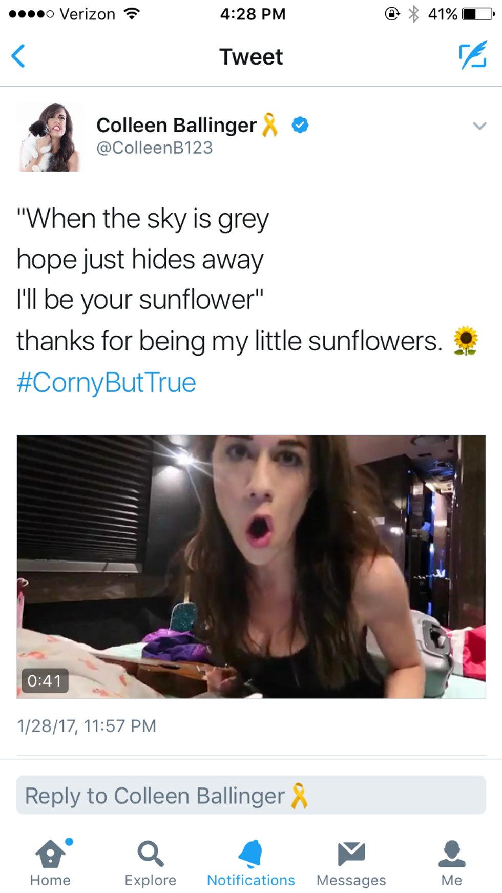 Why Everyone Should Be A Fan Of Colleen Ballinger