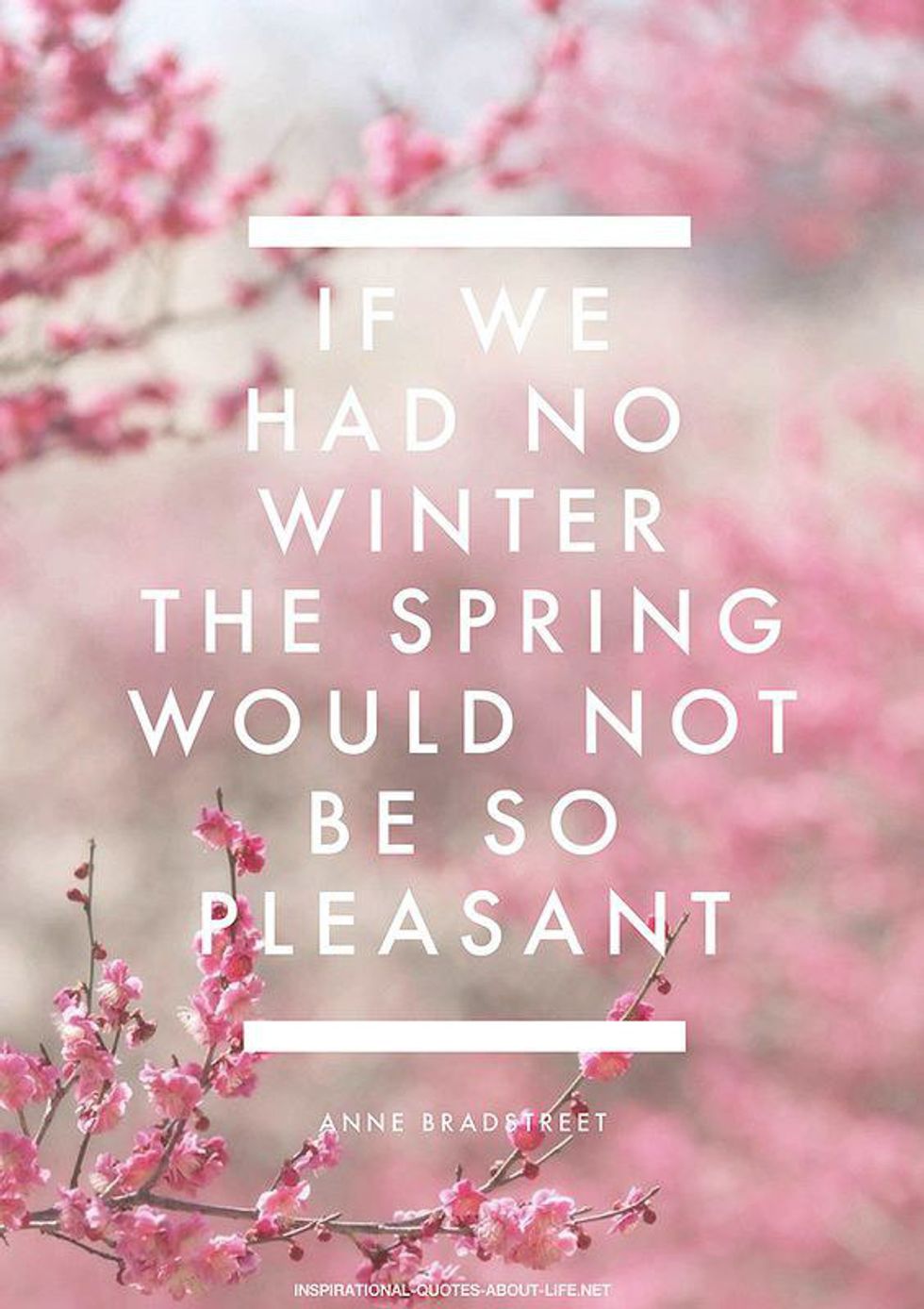 Springtime Quotes To Brighten Your Day