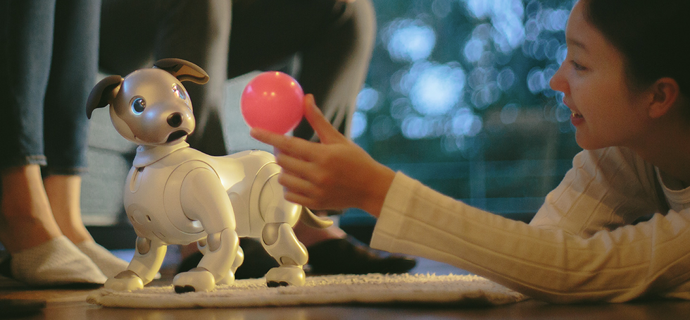 New Sony Aibo ERS-1000 robotic dog launched with AI and app - Gearbrain