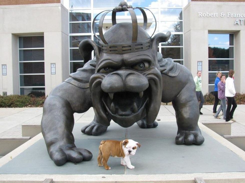 21 Things We Love About JMU