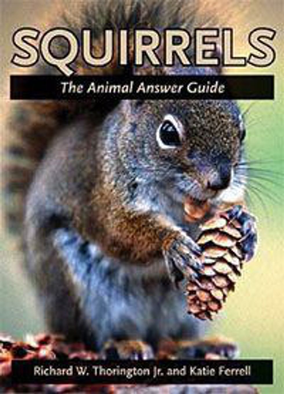 National Squirrel Appreciation Day