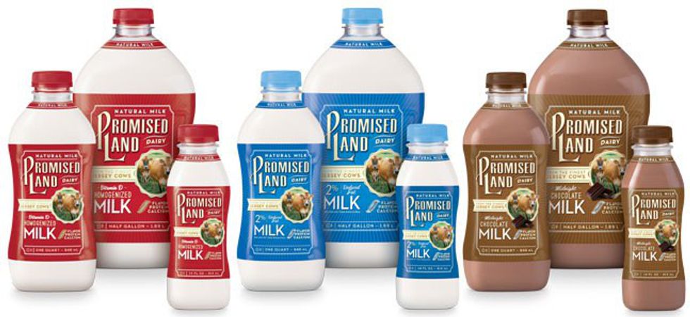 A Definitive Ranking Of America's Chocolate Milk Brands