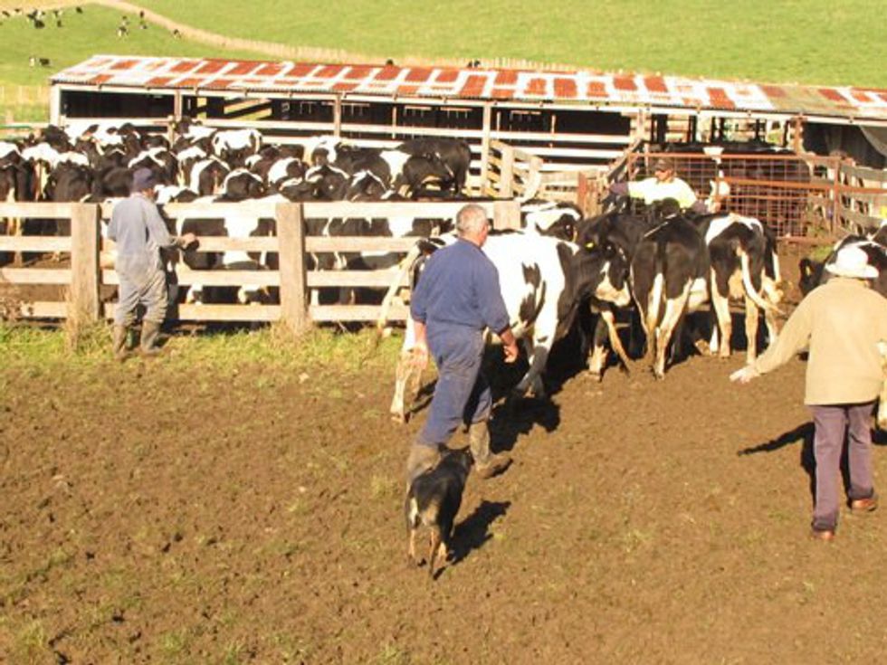 Growing Up A Farmkid